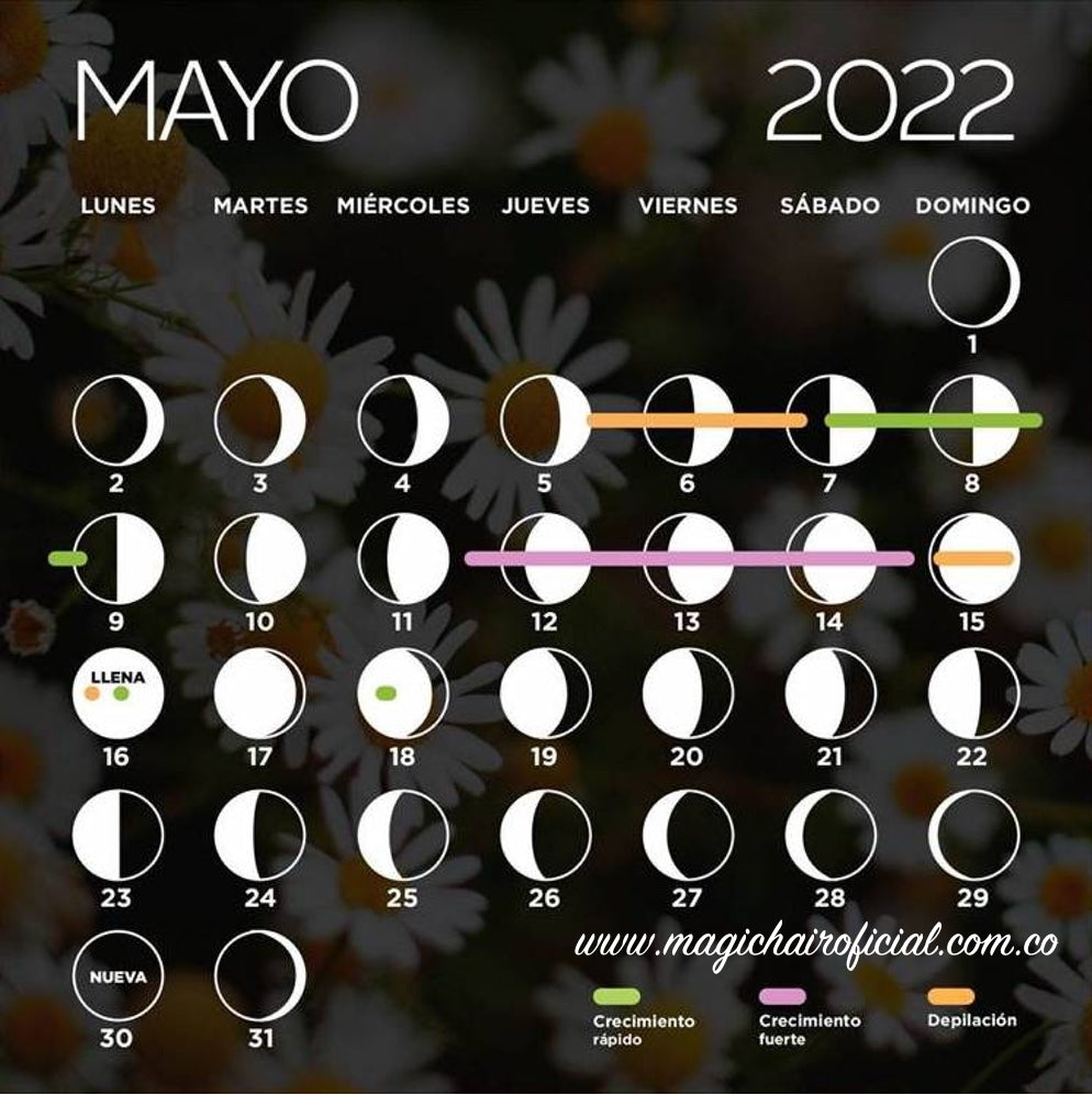 Calendario Mayo 2022